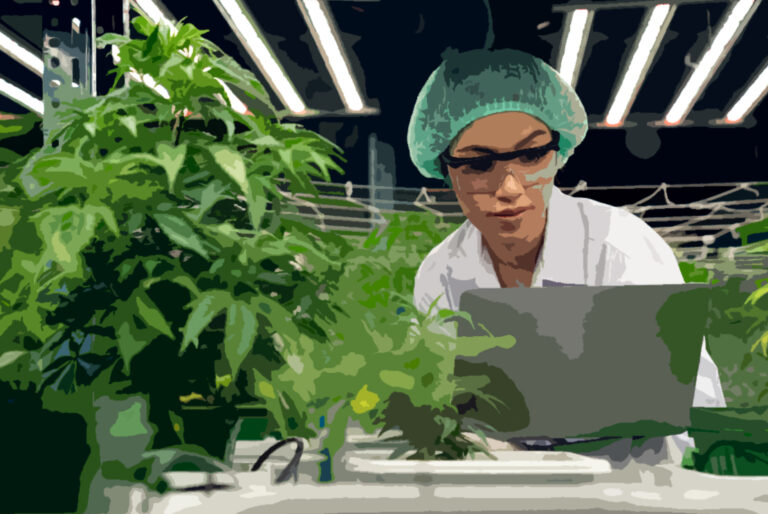 Canna Business Resources Exits the Cannabis Lending Space, Shaking up ...